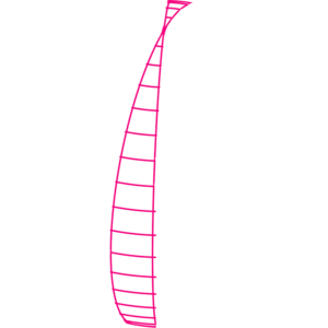 'Meta Two Camera' - Meta Camera - The Ultimate Professional 360 Rig